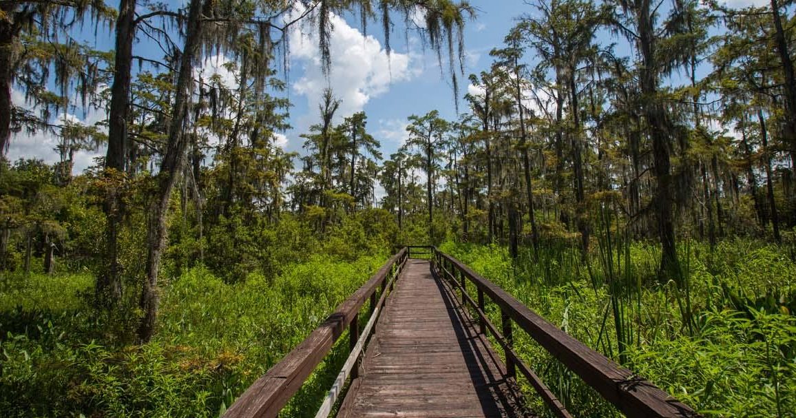 Jean Lafitte | Jefferson Parish Communities and Towns | Visit Jefferson ...