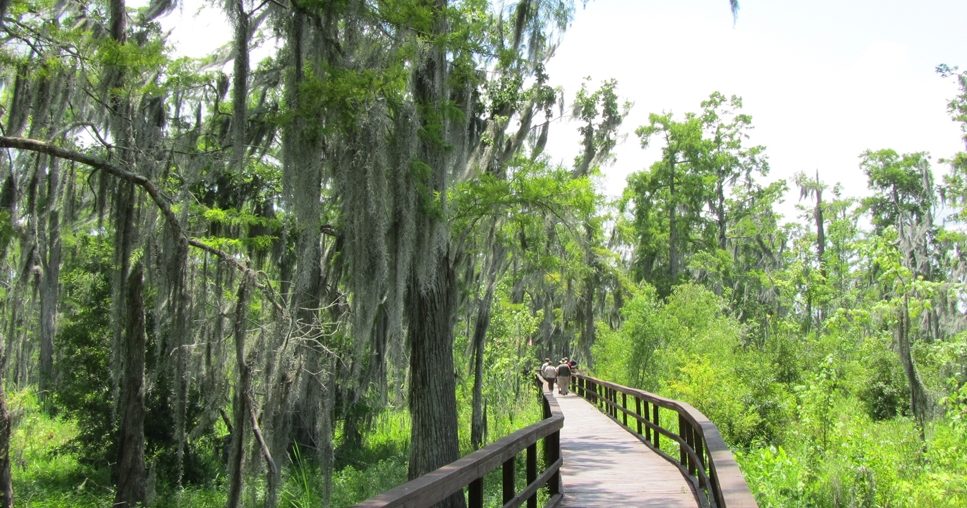 Marrero, LA | Barataria Preserve, Bayou Barn & Shaw Stadium | Visit ...
