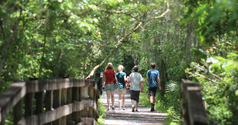 Barataria Preserve Hiking | Jean Lafitte National Historical Park ...